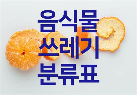 음식물 쓰레기 분류표 버리는 법 처리방법 봉투 가격