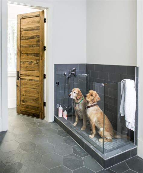 Питомец в доме: 10 важных деталей, которые стоит продумать до и после ...