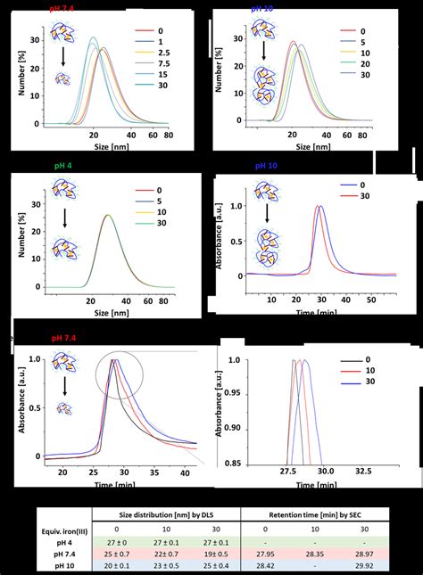 Hydrodynamic Size Distributions Obtained By Dls For Dchsa Peg C3 With Download Scientific