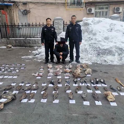 千万别干这事儿抚松两男子被警方抓了 王某和 抚松县 公安局