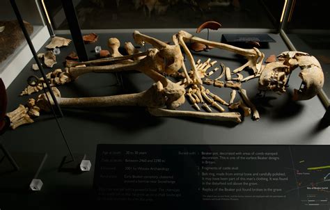 Why Do Europeans Have Light Skin Ancient Dna Reveals Answers To Modern