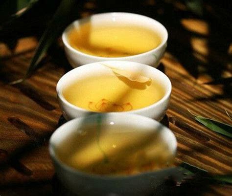 普洱茶山頭探索：冰島之糯伍老寨 每日頭條
