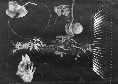 Minimo Uno Massimo Due