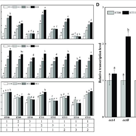 Ectoine Production In Metabolically Engineered E Coli With Different