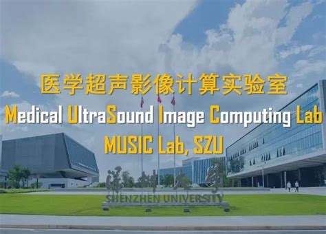 最大规模评测！通用ai大模型segment anything在医学影像分割的性能究竟如何？ 腾讯云开发者社区 腾讯云