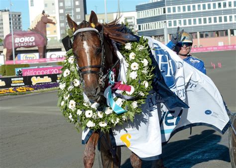 Okkenhaug Hest Til Topps I Sundsvall Kasserer Inn En Million Kroner