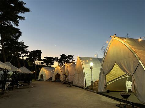 청주 근교 글램핑 “세종 다온숲” 내돈내산 후기 Feat A동 4 네이버 블로그