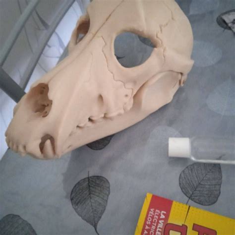 Wolf Skull Mask Moving Jaw 3d Printed Mask Skull Mask Cosplay Mask