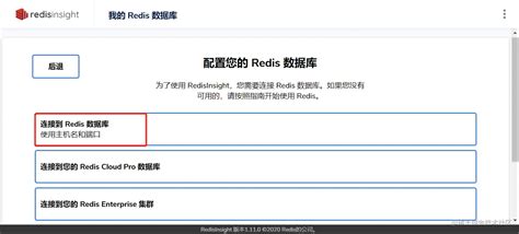 redisinsight 安装与使用（redis 监控工具）redisinsight 是一个直观高效的 redis gu 掘金