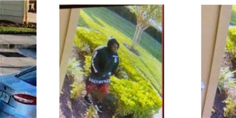 Uspis Offering Up To 50k Reward In Robbery Of Mail Carrier In Port St
