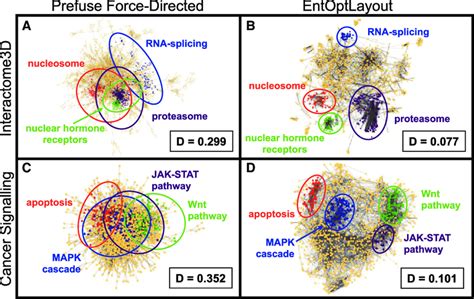 Visualization Of Major Protein Complexes By The Entoptlayout Cytoscape