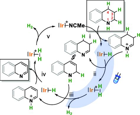 Plausible Mechanism In The Acceptorless Dehydrogenation Of Download Scientific Diagram
