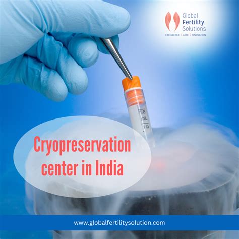 Lit Therapy Cost In India Global Fertility Solutions Medium