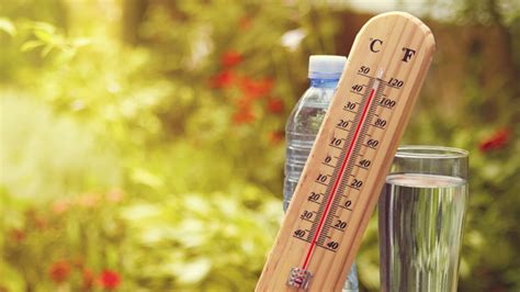 As Melhores Formas De Se Proteger De Uma Onda De Calor