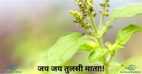 आरती Satsangpremi