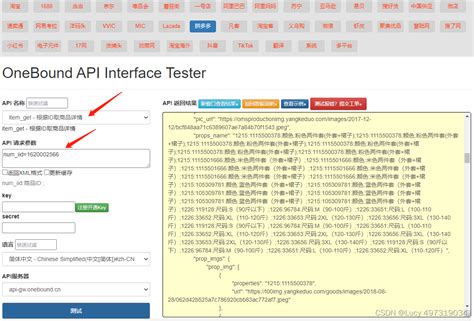 如何通过api接口获取拼多多itemget 根据id取商品详情cwebview2 获取拼多多订单 Csdn博客