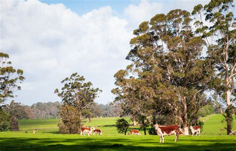 WA Carbon Farming Program Grows Inside State Government