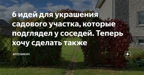 6 идей для украшения садового участка которые подглядел у соседей Теперь хочу сделать также