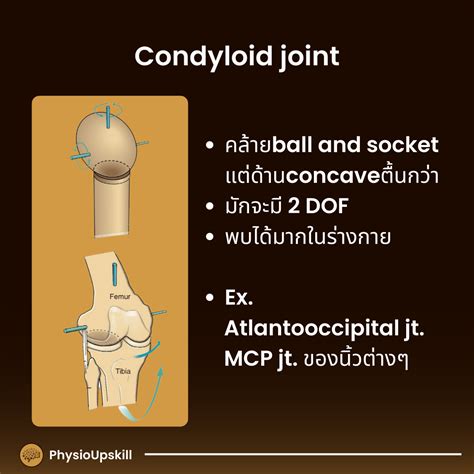 Episode15 Classification of joint based on mechanical analogyการ