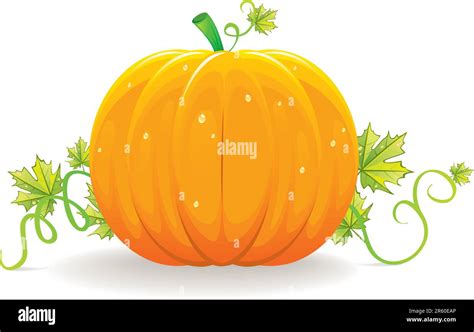 Halloween Pumpkin Vector Stock Vector Image And Art Alamy