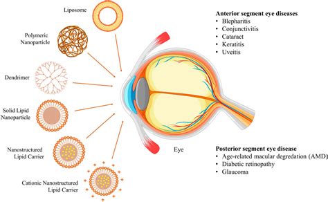 Frontiers Lipid Based Nanoparticles Innovations In Ocular Drug Delivery
