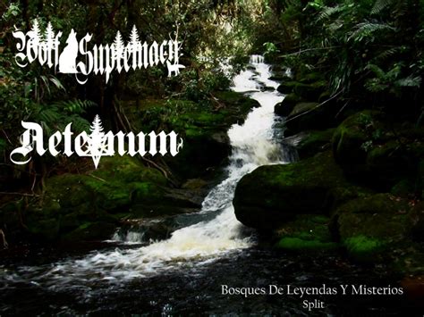 Aeternum Bosques De Leyendas Y Misterios Split Metal Kingdom