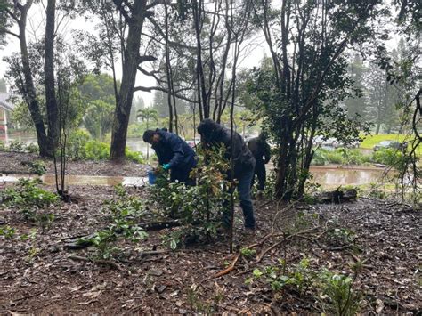 Earth Day 2023 Spreading The Tectococcus Love Lanai 96763