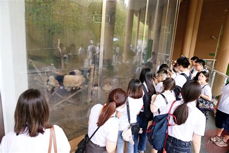 2023年全国台联第二十届台胞青年千人夏令营四川·成都分营开营四川在线