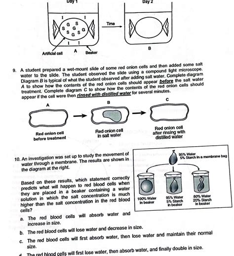 Solved All Cells Need To Move Materials Across The Cell Chegg Com