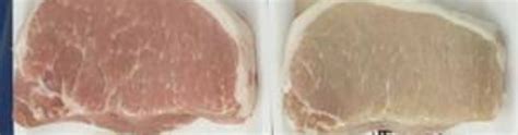 Maximizar o prazo de validade através da genética Topigs Norsvin PT