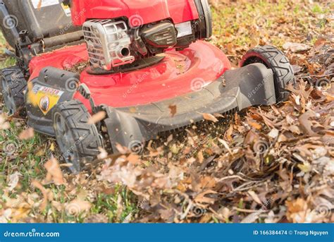 Working Lawn Mower Mulching Autumn Leaves For Lawn Care In Texas Usa