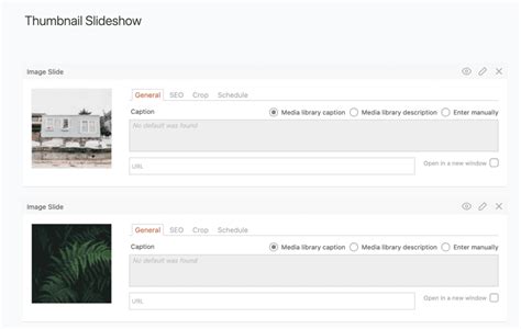 Create A WordPress Slider With Thumbnail Navigation MetaSlider