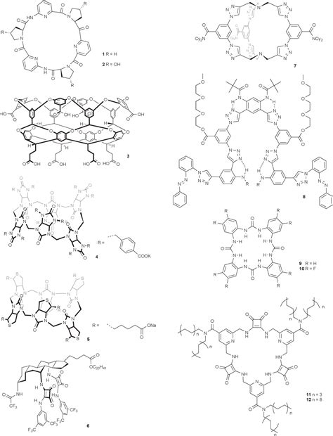 Figure 1 From Prospects And Challenges In Anion Recognition And Transport Semantic Scholar