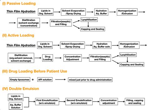 Controlled Drug Loading At Charlotte Mcgowan Blog
