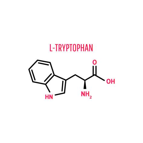100 Tryptophan Ilustrasi Grafik Vektor And Clip Art Bebas Royalti