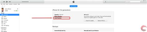 How To Find Your IPhone S UDID