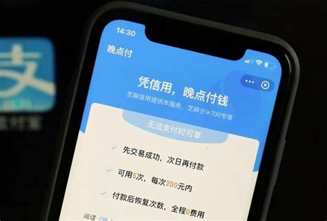 締造史上最大ipo的螞蟻科技，還有多少成長空間？ 壹讀