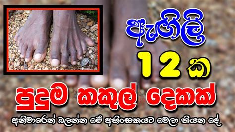 ඇඟිලි 12 ක් තියනවා කකුල් දෙකේ දැකලා තියද මීට කලින් Youtube