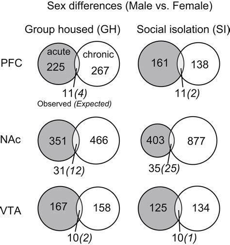 Multiple Comparisons And Inappropriate Statistical Testing Lead To Spurious Sex Differences In