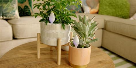 Krado Plant Sensor Industrial Designers Society Of America