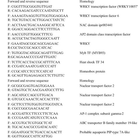 Forward And Reverse Primer Sequences From Selected Genes For Qrt Pcr