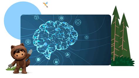 Quest ce que l apprentissage supervisé définition Salesforce