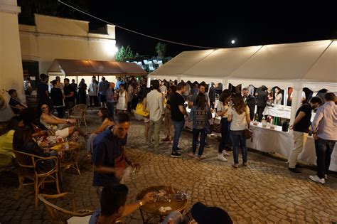 Tutti giù in cantina a Velletri torna il Festival della cultura del