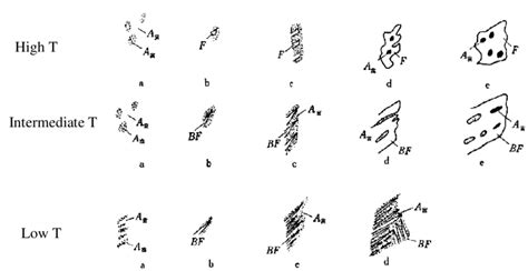 22 Schematic Diagram Of Granular Bainite Resulted From Ferrite Download Scientific Diagram