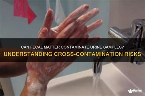 Can Fecal Matter Contaminate Urine Samples Understanding Cross
