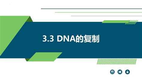 3 3dna的复制课件 共28张ppt1份视频 人教版（2019）必修2 21世纪教育网