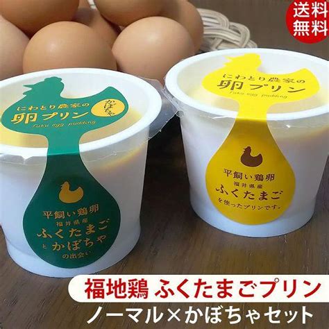 プリン 福地鶏 ふくたまご使用 にわとり農家の手作り濃厚卵プリン6個セット ノーマル×かぼちゃ 無添加 福井県 産地直送 テトテヲ お中元