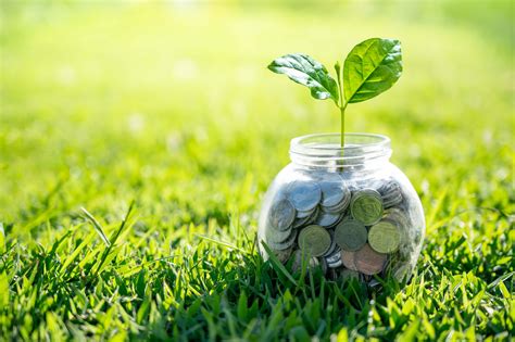 Qu Es El Capital Semilla De Una Startup