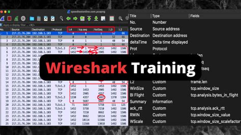 Deliver Online Wireshark Training For You By Yallaquest Fiverr