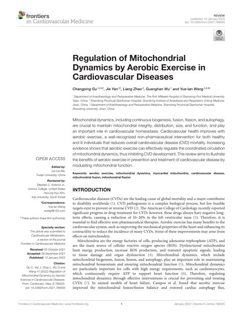 Mitochondria And Aerobic Exercise